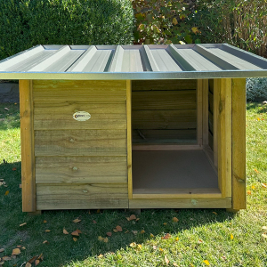 Timber Dog Kennel (Flat Roof) - SteelChief