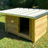Timber Dog Kennel (Flat Roof) - SteelChief