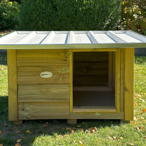 Timber Dog Kennel (Flat Roof) - SteelChief