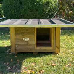 Timber Dog Kennel (Flat Roof) - SteelChief