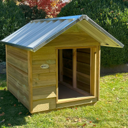 What type of kennel is best for dogs? - SteelChief