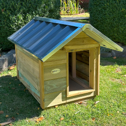 Timber Dog Kennel (Flat Roof) - SteelChief