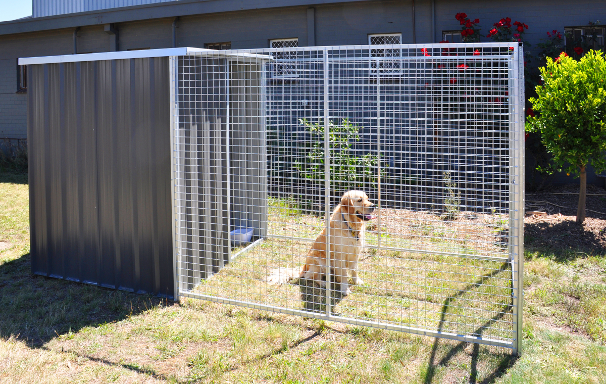 Reasons To Get A Pet Run/Pen - SteelChief