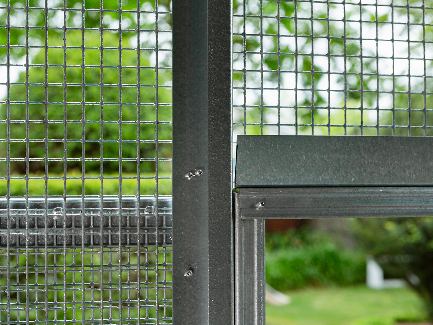 Gable Roof Aviary - SteelChief